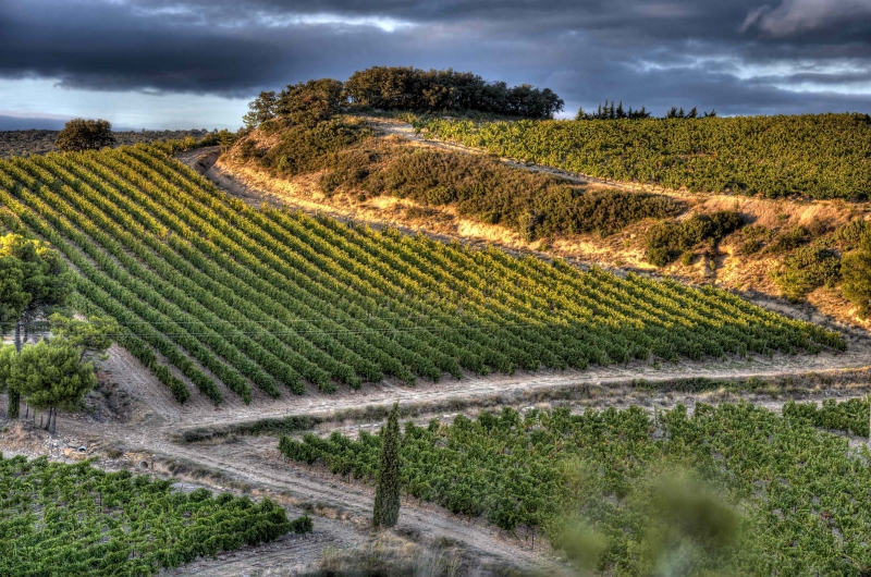 Horizon Wines – Where heaven touches earth